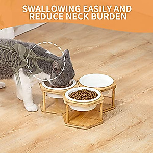 Lusifaco Set of 3 Single Elevated Cat Bowls, Stainless Steel Raised Cat Food Water Bowl with Bamboo Stand, Pet Dishes Stand Feeder with Anti Slip Feet for Cats and Small Dogs, 13 oz(Stainless Steel)