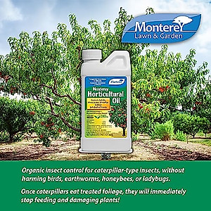 Monterey LG 6286 Horticultural Oil Concentrate Insecticide/Pesticide Treatment for Control of Insects, 16 oz