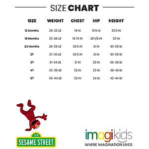 Sesame Street Cookie Monster Elmo Infant Baby Boys French Terry Sweatshirt and Pants Set Grey 12 Months