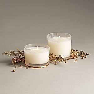 Thymes Frasier Fir Candle - Gilded Frosted Wood Grain Jar Candle - Scented Candle with a Luxury Home Fragrance - Elegant Holiday Candle - Gold Candle Lid and Gilded Gold Base (Medium, 9 oz)