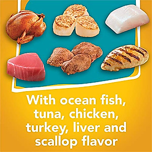 Purina Friskies Gravy Wet Cat Food Variety Pack, Tasty Treasures Prime Filets