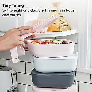 W&P Porter Lunch Box, 3 Compartment Bento Box Style Portable Adult Lunch Box with Snap Strap- Food Container, BPA Free, Dishwasher and Microwave Safe, Blush, Medium