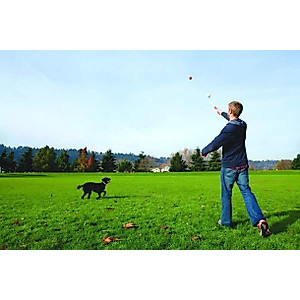 Chuckit! Pro 25M Dog Ball Launcher, 25" Length, Includes Medium Ball (2.5") For Dogs 20-60 Pounds