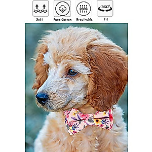 Bow Tie Dog Collar for Small Medium Large Dogs, Comfy Puppy Collars, Adjustable Pure Cotton Dog Collars for Girl and Boy Dog, Pink Dog Collar, Collar para Perros. (S, Pink)