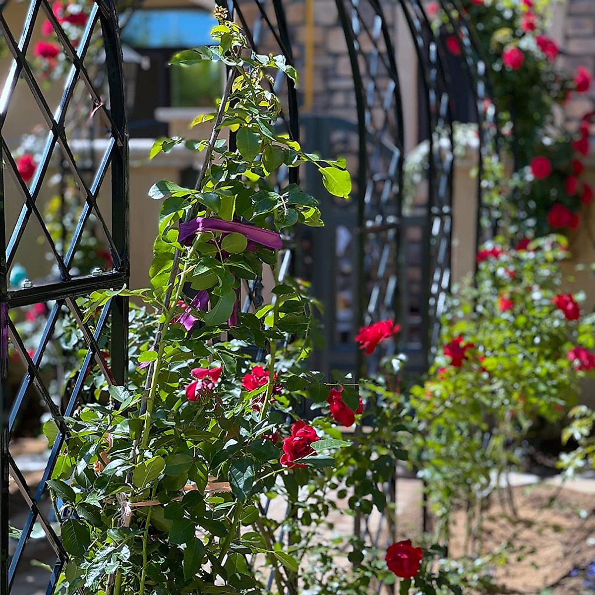 Outdoor Steel Rose Arch Iron Arbor Arch,Heavy Duty Metal Garden Arch, for Various Climbing Plant Outdoor Garden Lawn Backyard (Black)