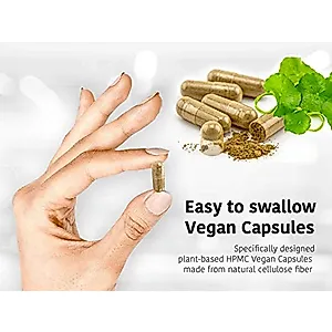 DR WAKDE'S Carom Seed Capsules (Celery Seed, Ajwain, 60 Veg Caps, Plant-Based Supplement, Ayurvedic Herb, All Natural, Vegan)