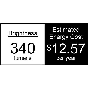 Royal Designs LB-2001-2 Clear Edison Incandescent Vintage Style 60-Watt T10 E26 120V Light Bulb, 2 pack