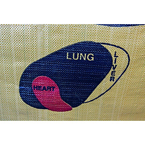 450 X Field Point Bag Target 24 x 24 x 12, 450 FPS for Compound and Crossbows