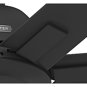 Hunter Fan Company 51590 Downtown Ceiling Fan, Matte Black, AAA