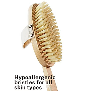 Vegan Dry Brush for Cellulite and Lymphatic Drainage Massage, Natural Firm and Soft Brushes, Cactus Bristles, Dry Skin for Face and Body Set for Brushing, Scrub with Handle