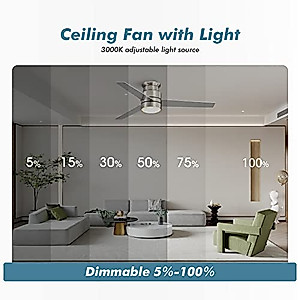 warmiplanet Flush Mount Ceiling Fan with Lights Remote Control, 52-Inch, Brushed Nickel(3-Blades)