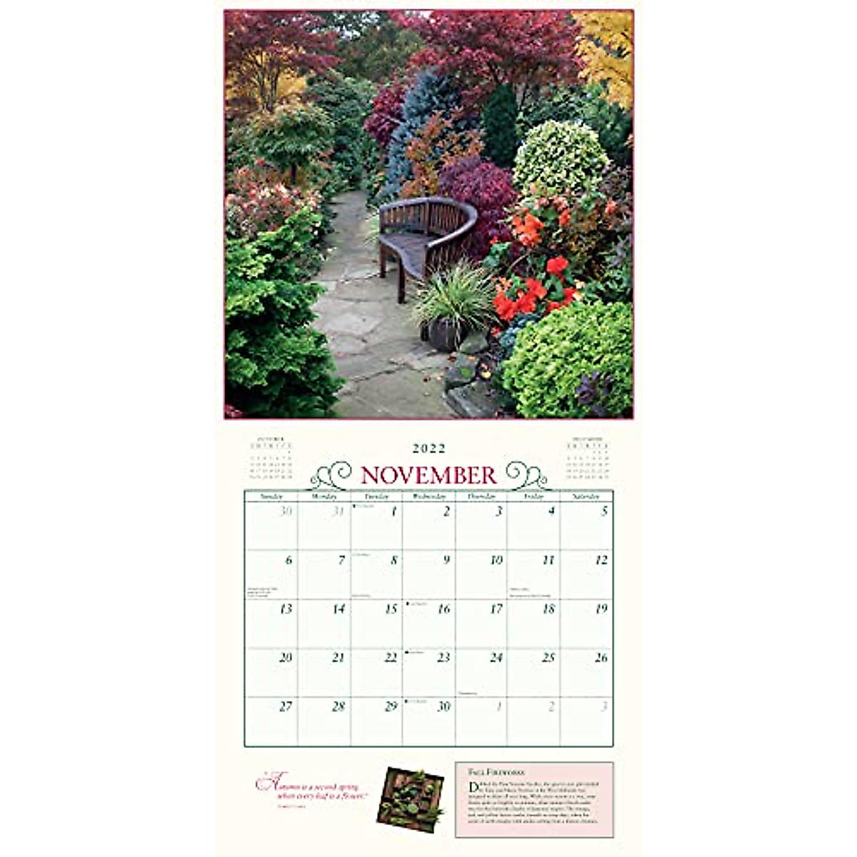 Secret Garden Wall Calendar 2022: A year of photographs that transport you to a garden sanctuary.