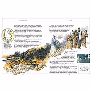 The Children's Illustrated Jewish Bible (DK Bibles and Bible Guides)