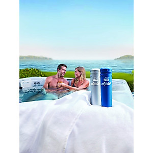 FROG @ease In-Line SmartChlor Replacement Chlorine Cartridge 3-Pack for Marquis Spas, Caldera Spas, Artesian Spas and Hot Springs Spas up to 600 gallons; Hot Tub Sanitizer with No Cyanuric Acid