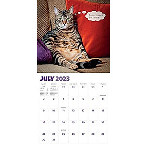 Chonkers Wall Calendar 2023: Irresistible Photos of Snozzy, Chonky Floofers Paired with Relaxation-Themed Quotes