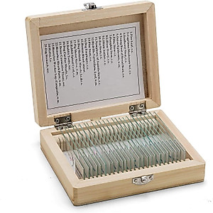 25pc Assorted Specimen Collection of Prepared Microscope Slides Glass Slide