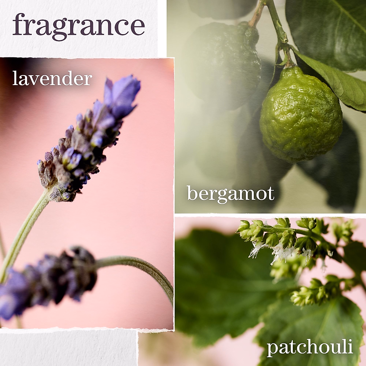 Pureology Hydrate Sheer Nourishing Shampoo | For Fine, Dry Color Treated Hair | Sulfate-Free | Silicone-Free | Vegan