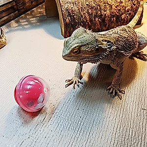 CooShou 6Pcs Lizard Bearded Dragon Feeding Toys Ball Reptile Food Toys Ball Lizard Interactive Toys for Bearded Dragon, Lizard, Gecko and Small Animals