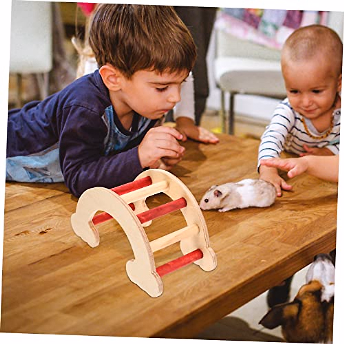 Balacoo 2pcs Hamster Wooden Toys Hamster Platform Rat Exercise Toys Critter Nation Small Animal Hideout Huts Gerbils Hideaway Toy Rabbit ramp Bunny Castle Chinchilla cage The Slide Ladder