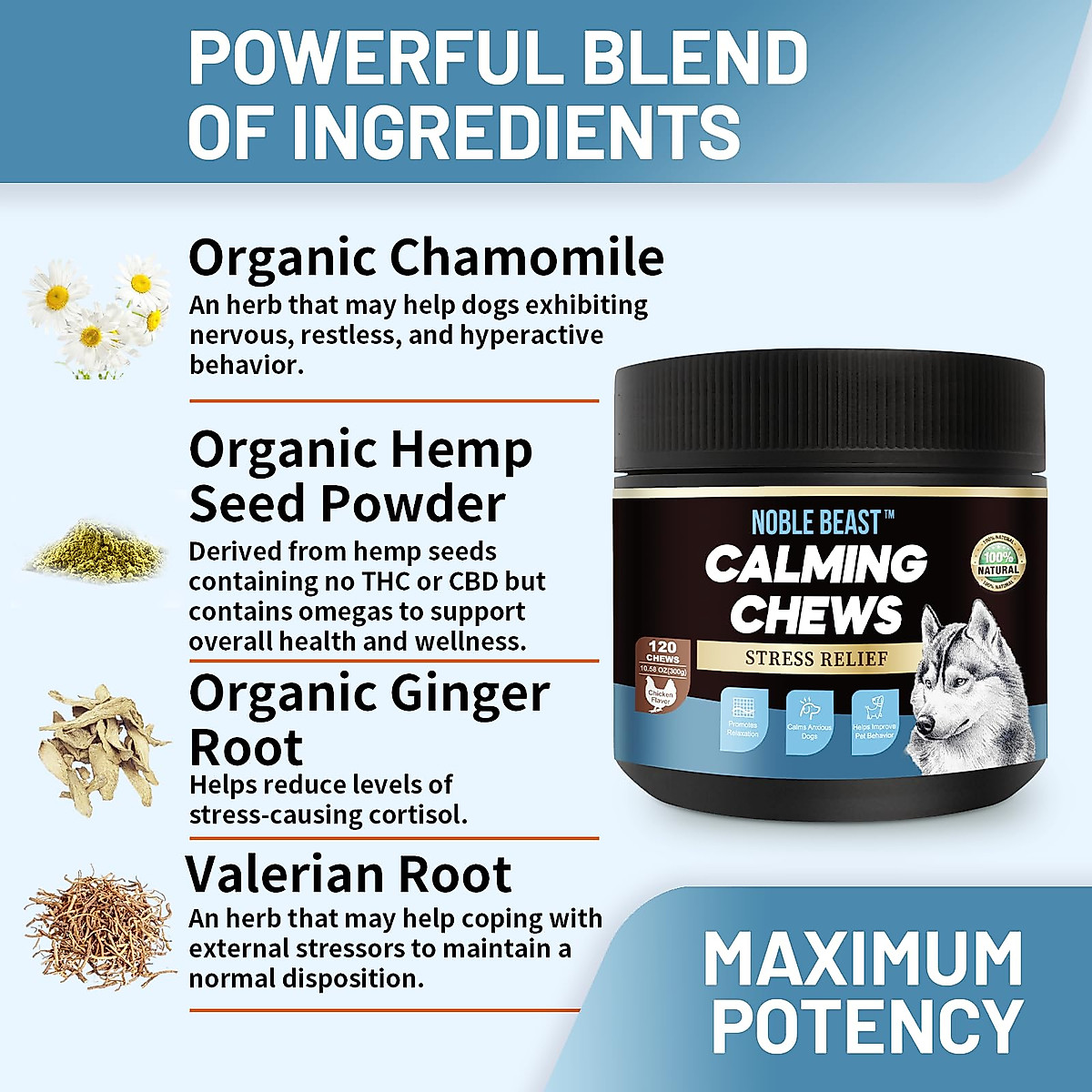 Noble Beast Dog Hemp Calming Chews for Dogs - Melatonin for Dogs - Dog Calming Treats - Motion Sickness for Dogs - All Natural - Soft Chews with Hemp and Melatonin - Chicken Flavor -120 Count