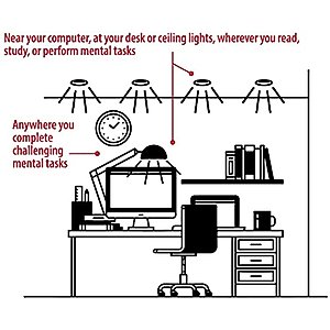 NorbFOCUS Desk Lamp LED Light Bulb. Unique Light Spectrum for Mental Performance. Supports Learning, Retention, Recall, Reading Speed. For Use as a Reading Light, Study Light, Work Light or Task Light