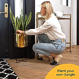 Bees & Buds Tall Metal Plant Stand Indoor - 10 inch Black Iron Outdoor Plant Stands - Mid Century Modern Iron Plant Stand - Flower Planter Holder - EXCLUDING Plants Pot