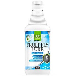 Eco Defense Fruit Fly Killer – Natural Fruit Fly Trap & Drain Fly Killer Treatment for Indoor Fly Control in Kitchen, Restaurants, and More 16 oz