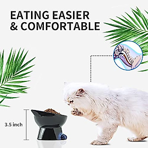 Nihow Slanted Elevated Cat Bowls: 5 Inch Ceramic Raised Cat Food Bowl for Protecting Pet's Spine - Microwave & Dishwasher Safe -Elegant Blue & Black (4.5 OZ /1 PC)
