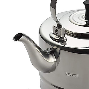 BonJour Tea Stainless Steel and Copper-Base Gooseneck Teapot/Teakettle/Stovetop Kettle, 2 Quart, Silver