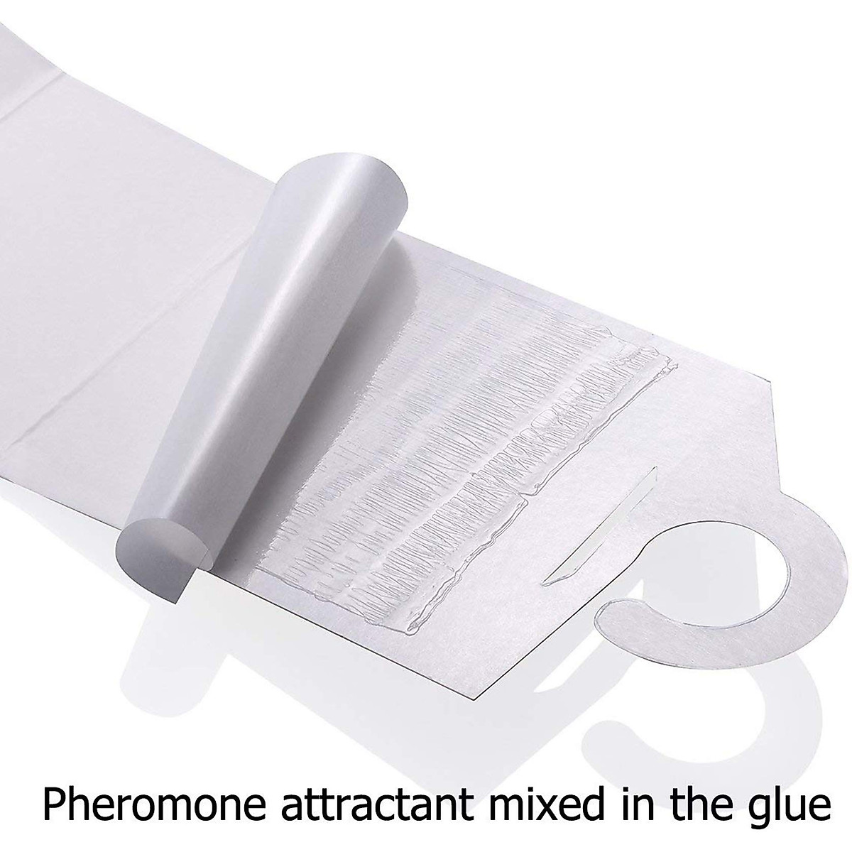 12-Pack Clothes Moth Traps with Pheromone Attractant for Closet and Carpet