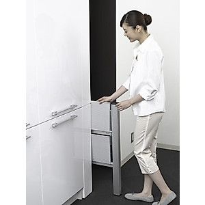 Hasegawa Ladders Slim Step Stool, 2, Silver