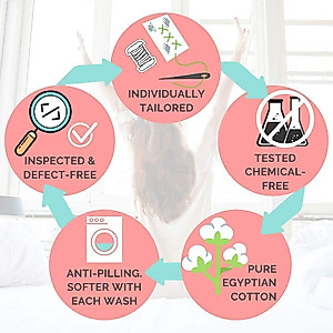 BedDecor Silver Lining 5 Piece Duvet Cover Set 600 Thread Count 100% Egyptian Cotton(King/California King,Sage)