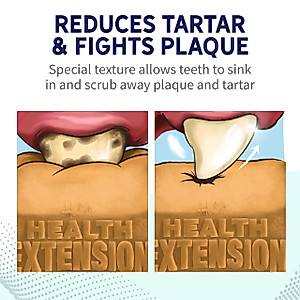 Health Extension Probiotic Dental Bones for Dogs, 14 Small Bones – Supports Dental Health, Promotes Digestive Health, Ideal for Puppy Training (Pack of 2)