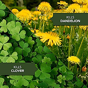 BioAdvanced 3-In-1 Weed and Feed for Southern Lawns, Granules, 12.5 lb, 5,000 Sq Ft