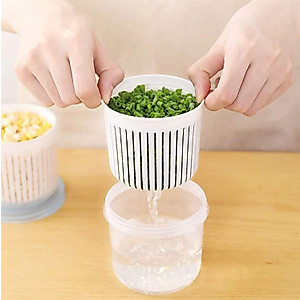 Vegetable Storage Box, Refrigerator Food Fresh Box with Drain Basket, Double Layer Vegetables Sealed Keeper for Chopped Green Onion, Ginger, Garlic, Vegetables and Fruits (2PCS)