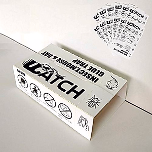 UCatch 12 Pack of Ultra-Sticky Insect, Mouse, Rat, Glue Board Pest Trap - Foldable Pest Jail, Nontoxic, Peanut Butter Scented - Foolproof and Handy with Super-Stick Formula