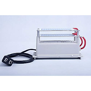 Ozone Generator air purifier 10000 mg/h Equal to 10g/h ozone plates ozone maker machine 110V
