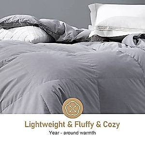 Amazon Brand - Pinzon All-Season Ultra Soft Down Comforter Duvet Insert, 100% Cotton, Medium Warmth For All Season- Grey, King