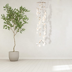 BESPORTBLE Natural Seashell Wind Chime Seashell Wind Bell Decorative Hanging Ornament Nautical Home Decor Gift for Room Patio Balcony Garden (White)