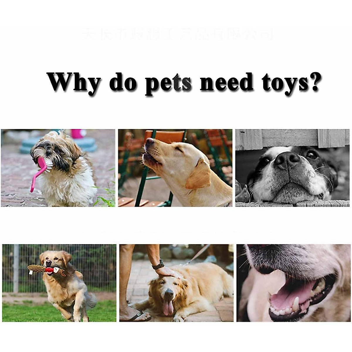 Indestructible Robust Bear, Dog Companion for Heavy Chewer Toy, Dog Stuffed Animals Chew Toy, Squeaky Dog Toys for Aggressive Chewers, Dog Training Interactive Play Toys (L, Brown+Blue)