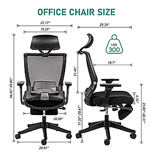 FLEXISPOT Ergonomic Office Chair Mesh Computer Desk Chair with Lumbar Support Swivel High Back Home Office Chair with Foldable Backrest Retractable Footrest