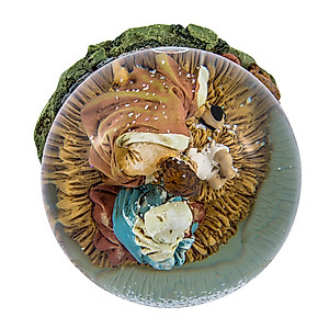 Kurt Adler Holy Family Musical Water Globe, 100mm