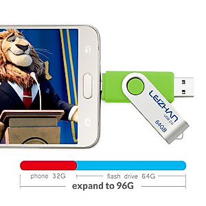 leizhan 64gb Flash Drive for Android Phone, Phone Picture Stick for Samsung Galaxy S7/S6/S5/S4/S3/Xiaomi/Meizu/HTC/Nokia/Moto/Huawei, USB 2.0-Micro,Green