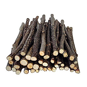FarmerDavePetSupply 40 Apple Thin CHEW Sticks for Small Animals