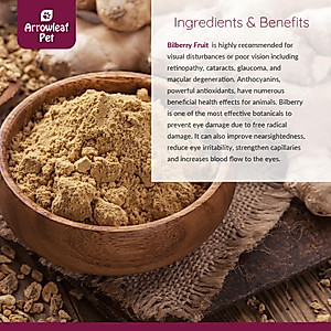 Arrowleaf Pet Vision Care by NaturPet Inc for Cats and Dogs | with Bilberry | Eye Support | 100mL Herbal Tincture