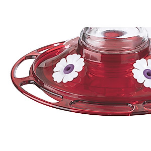 More Birds Bird Health+ Garnet Hummingbird Feeder, Glass Hummingbird Feeders for Outdoors, 5 Feeding Stations, 20 Ounces