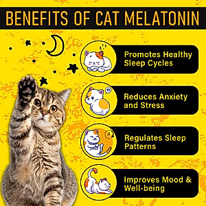 Cat Melatonin Drops 60ml Salmon Flavor, Melatonin for Cats to Sleep, Cat Calming Treats, Cat Calming Products, Cat Sleep Aid, Cat Anxiety Relief, Cat Travel Anxiety Relief for Cats