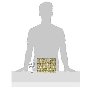 Oxbow Timothy Club - Timothy Mat for Pets, Medium, 2-Pack