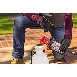 Spectracide Weed and Grass Killer with Extended Control Concentrate, 32 Ounces, with Accumeasure System
