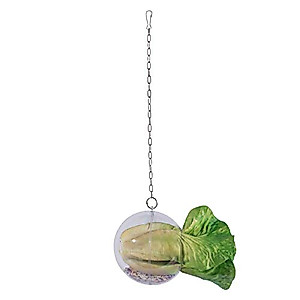 Lanermoon Chicken Hanging Foraging Toys for Hens Feeder Feeding Treat Ball with Veggie and Seed Food for Pet Parrot Bird